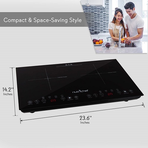 10 Best Portable Double Induction Cooktops Comparison and Reviews 2021